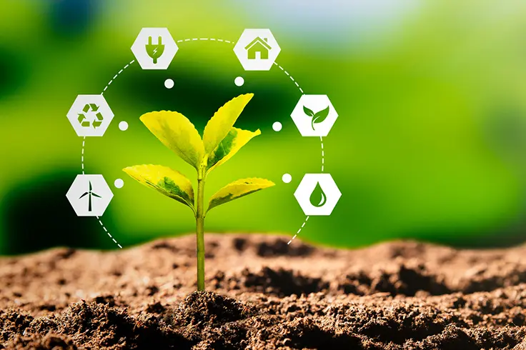 Sustainability｜Quest：English